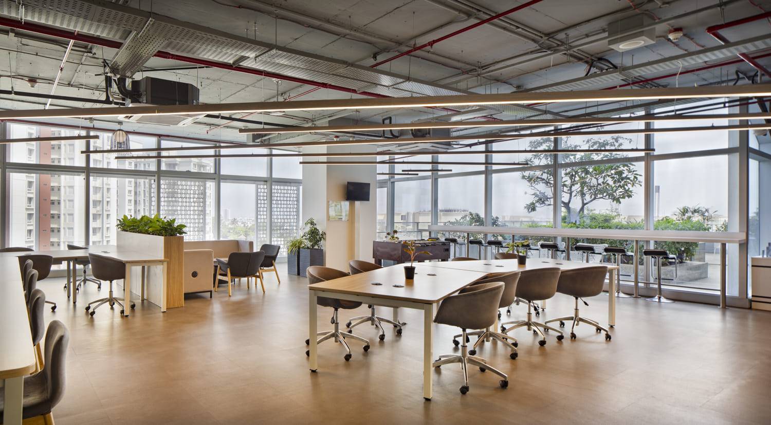 8 Eco-Friendly and Non-Toxic Paint Materials in India You Should Know About